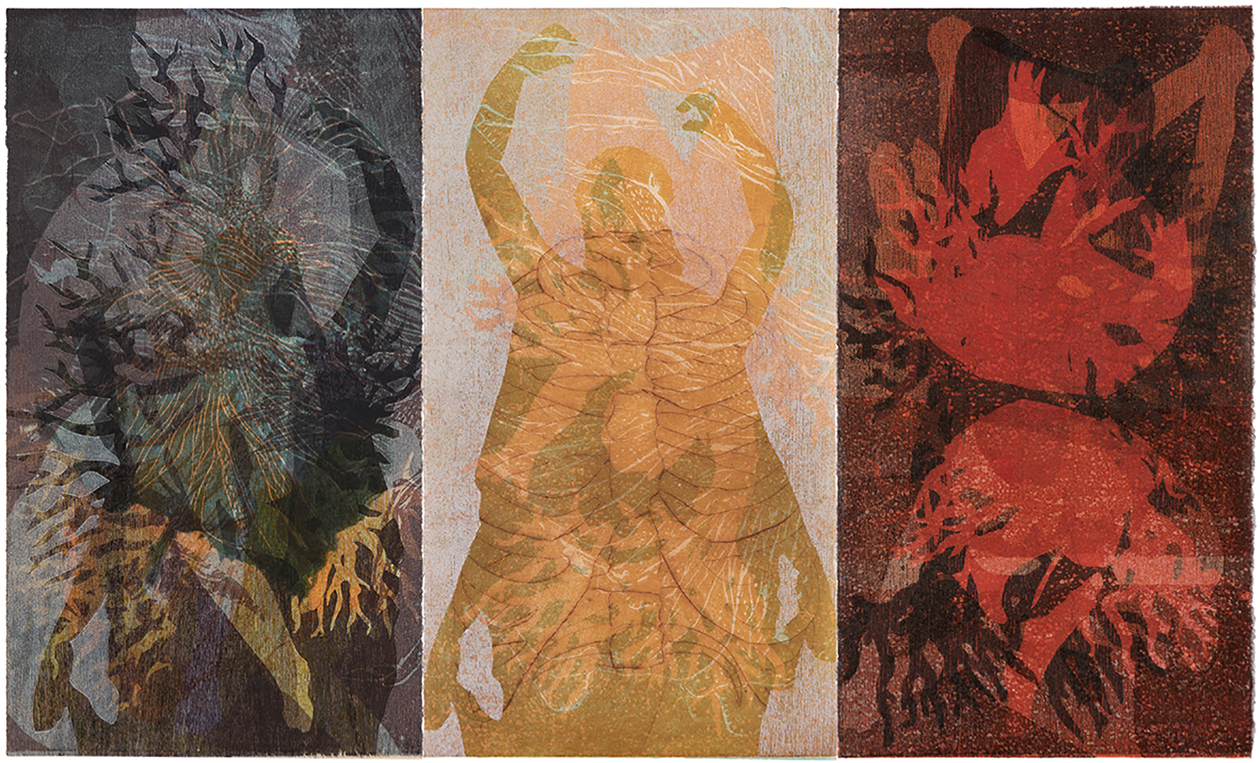 The Southern Highlands Printmakers | Goulburn Regional Art Gallery
