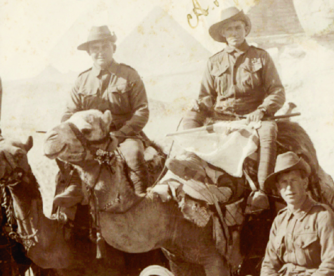 A Salute | Goulburn Regional Art Gallery