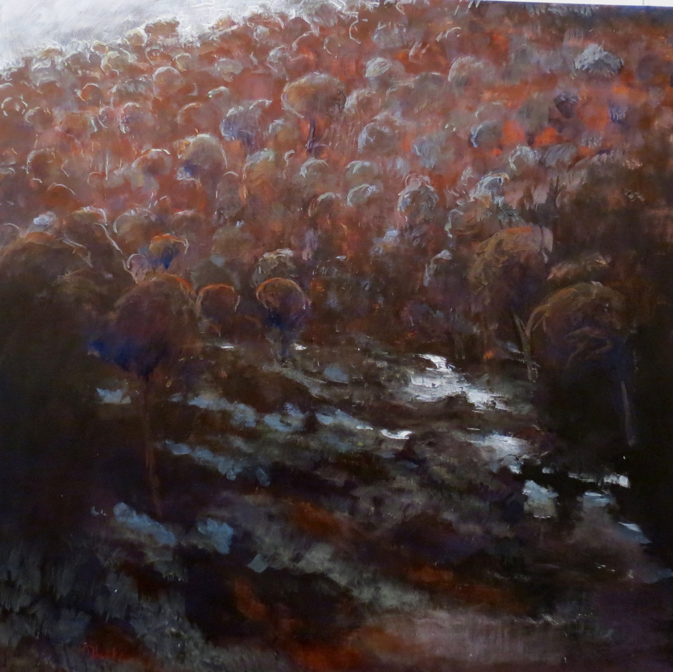 Snapshot: Tony Hooke | Goulburn Regional Art Gallery