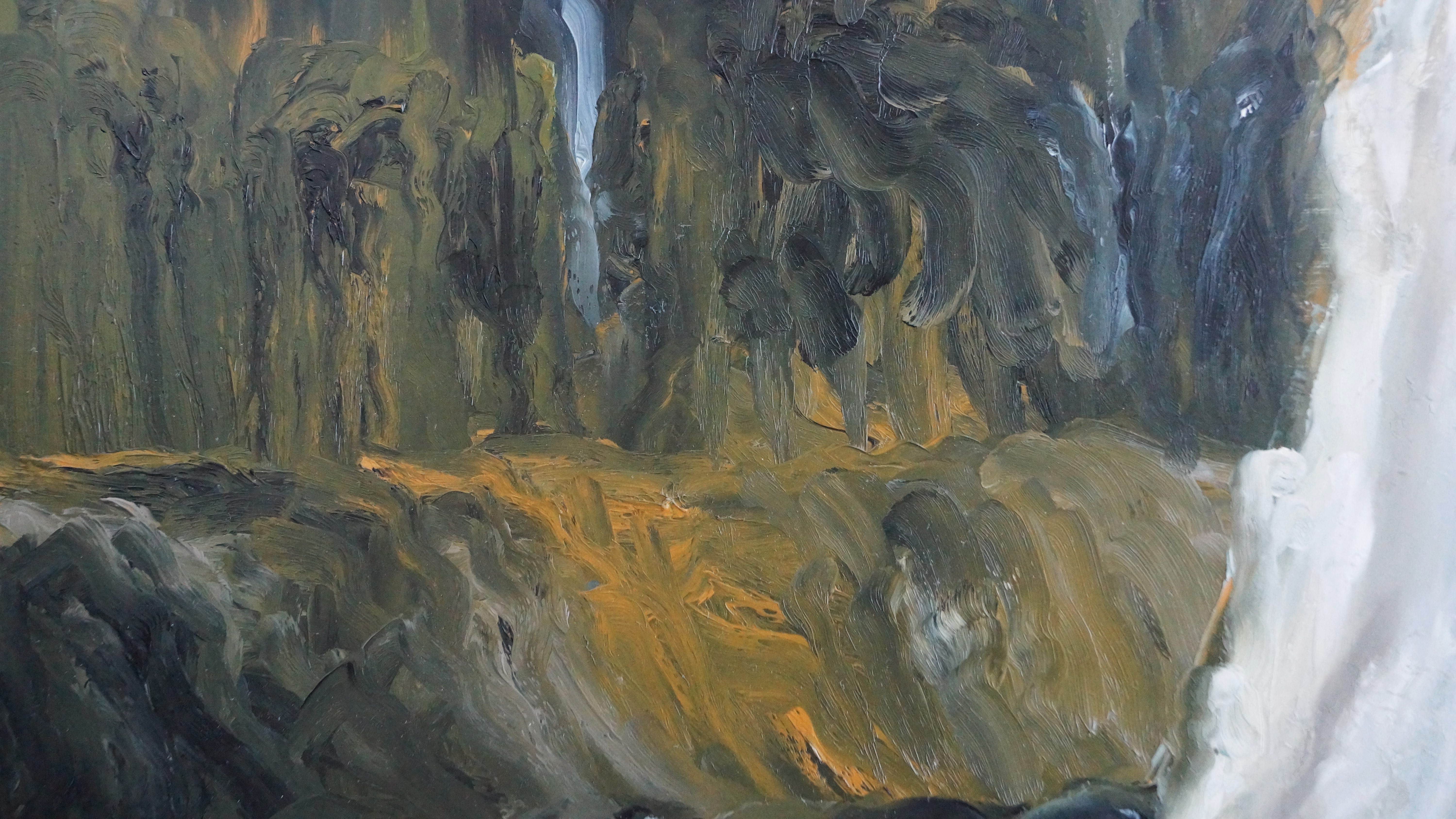 Snapshot: Joan Whittle | Goulburn Regional Art Gallery