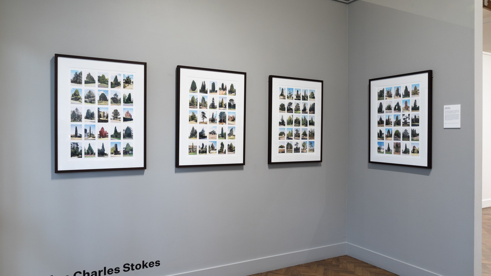 Snapshot: Jordan Charles Stokes | Goulburn Regional Art Gallery