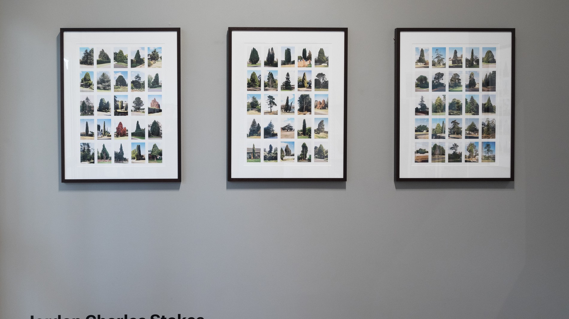 Snapshot: Jordan Charles Stokes | Goulburn Regional Art Gallery