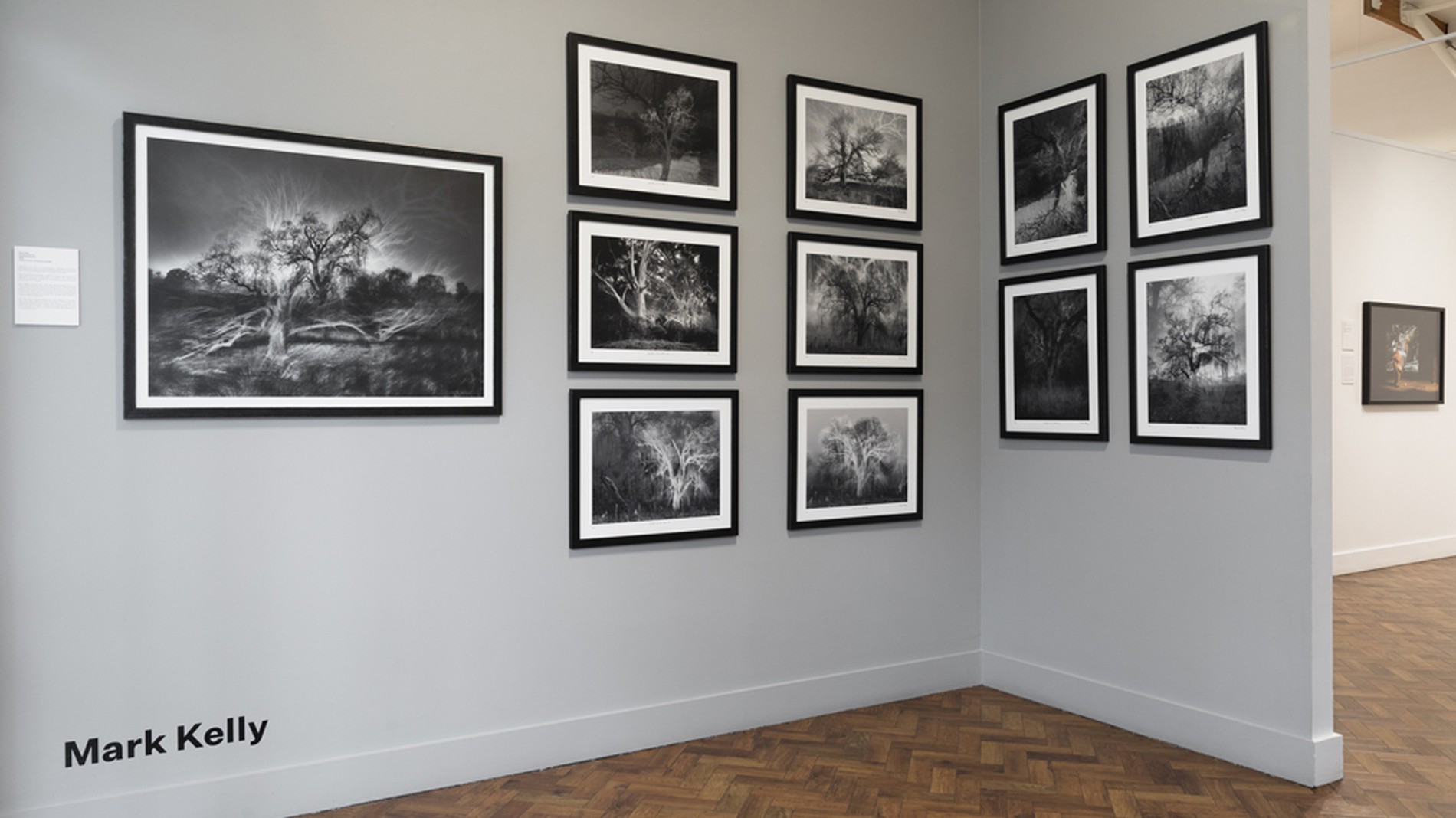 Snapshot: Mark Kelly | Goulburn Regional Art Gallery