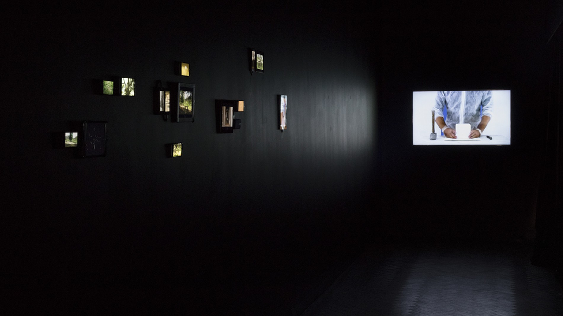 Alex Seton | Goulburn Regional Art Gallery