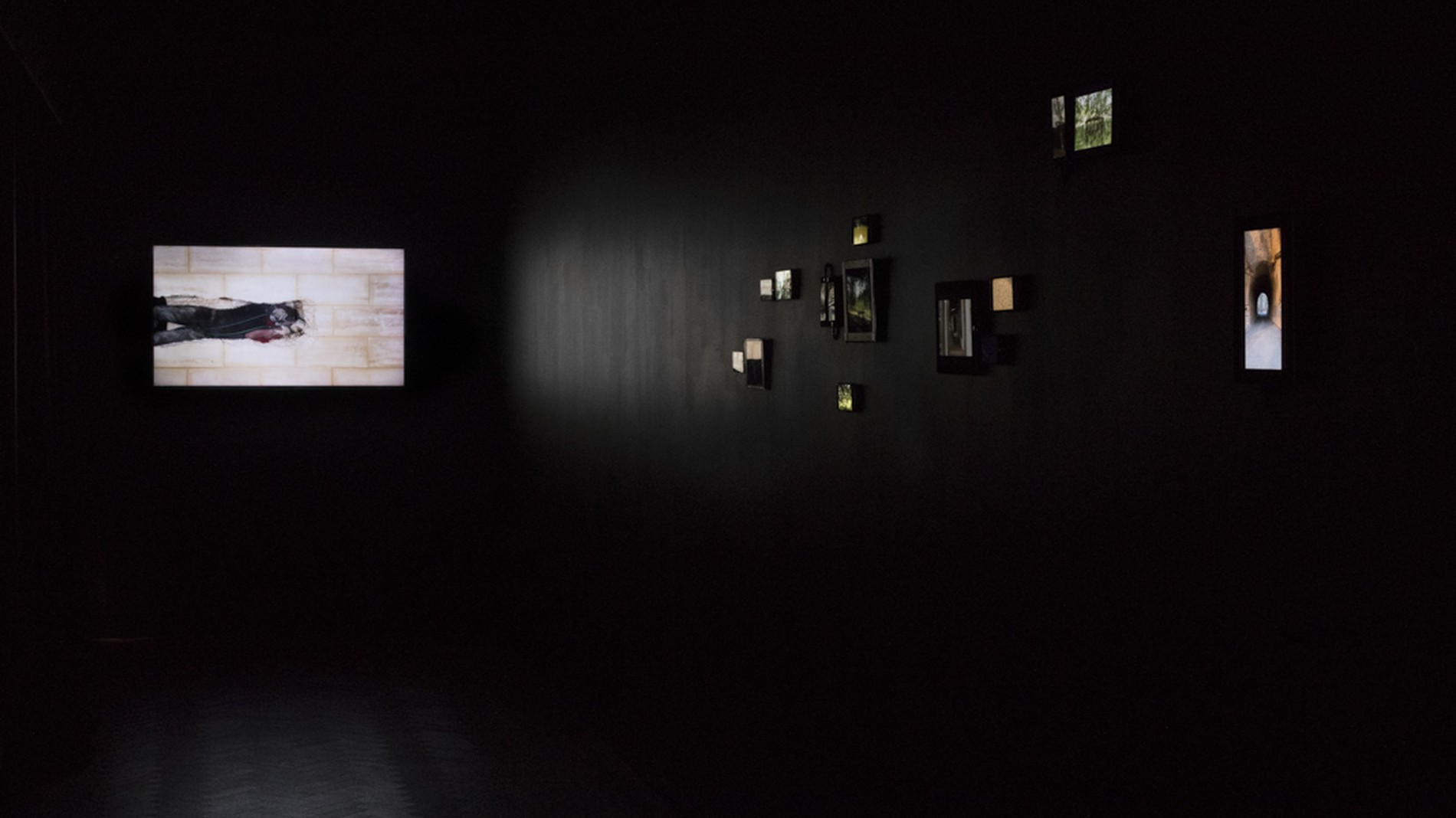 Alex Seton | Goulburn Regional Art Gallery