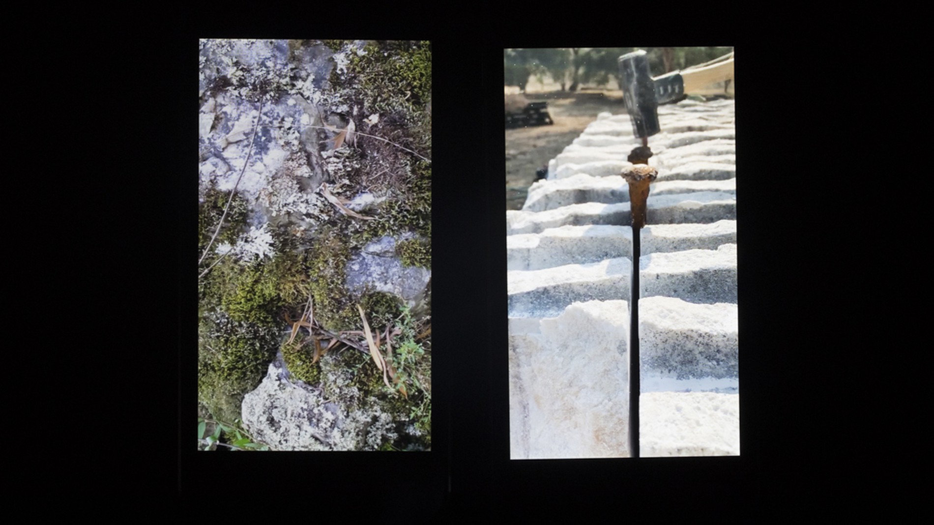 Alex Seton | Goulburn Regional Art Gallery