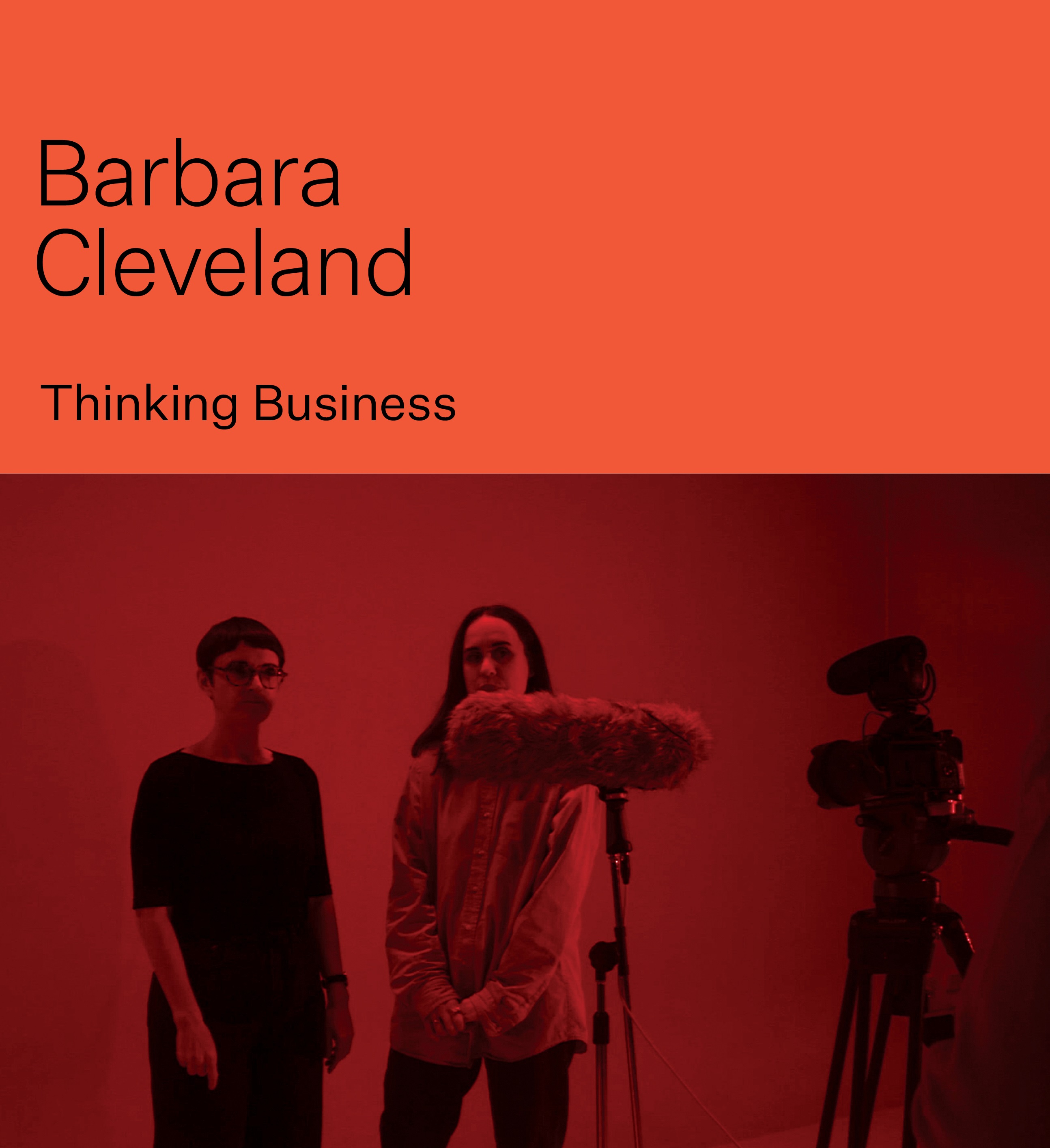 Barbara Cleveland 'Thinking Business' | Goulburn Regional Art Gallery