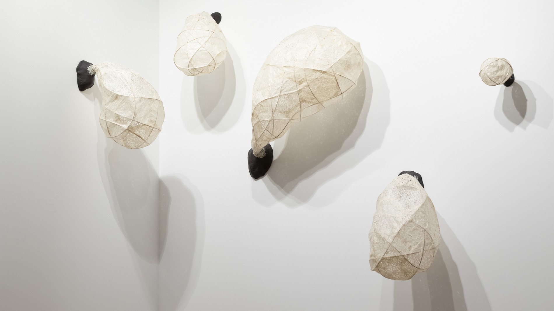 Julie Monro-Allison | Goulburn Regional Art Gallery