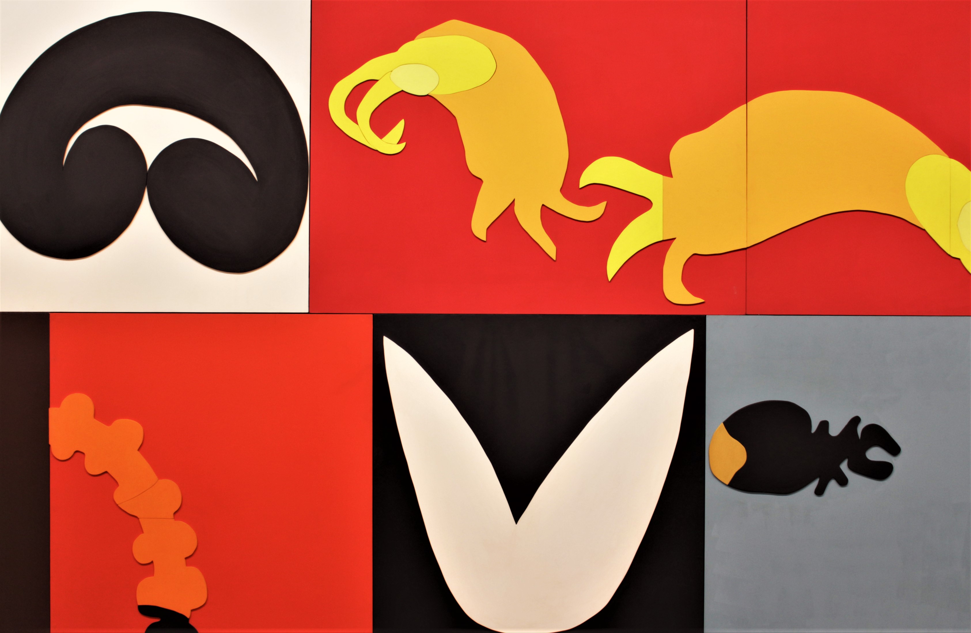 Panel chat: Jenny Bell, Phoebe Cowdery and Martin Royds | Goulburn ...