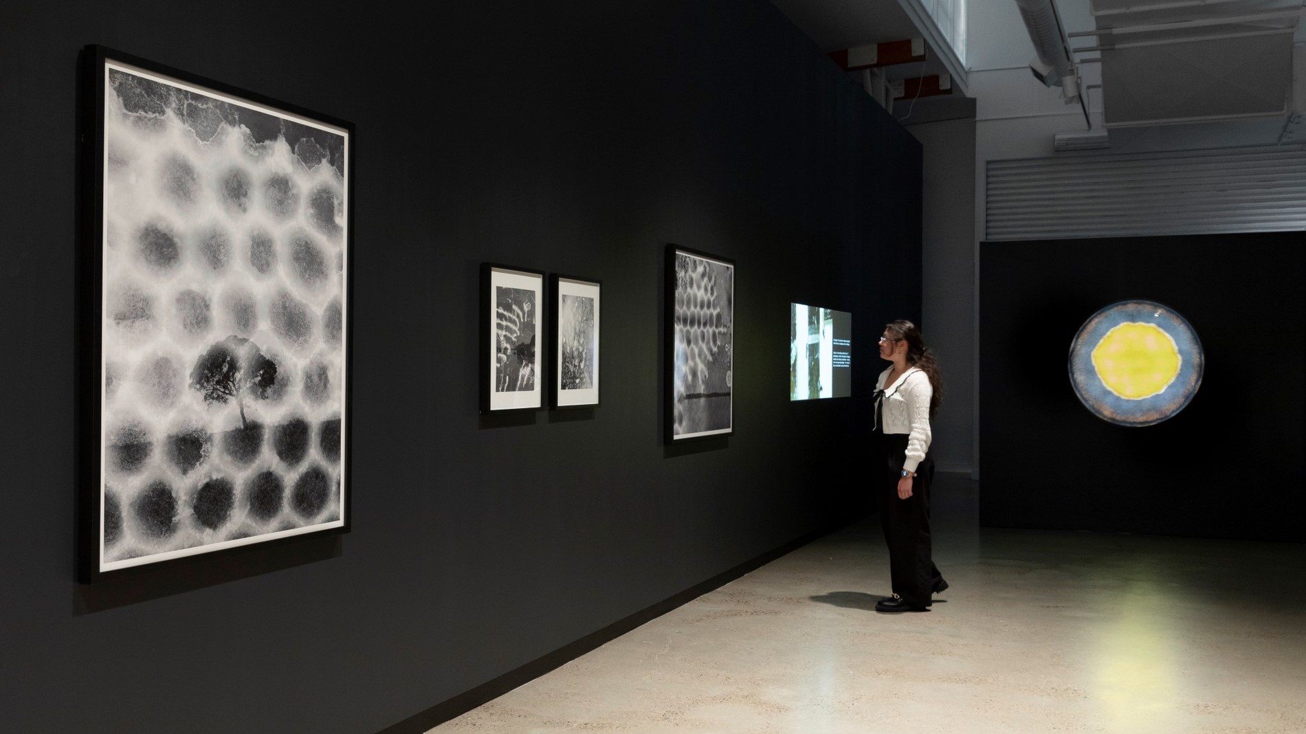 Sammy Hawker | Goulburn Regional Art Gallery