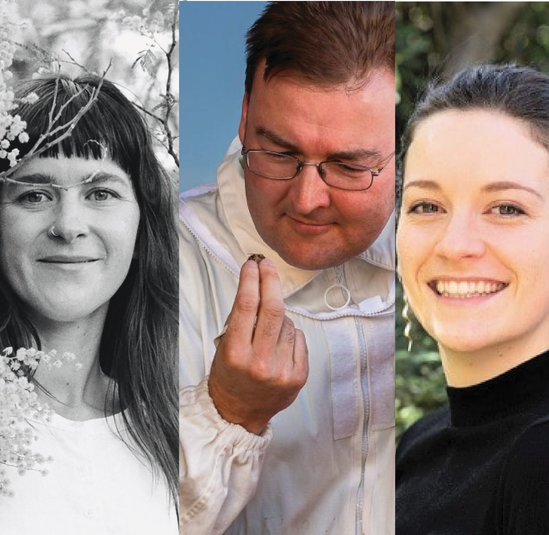 Panel chat: Sammy Hawker, Jess Ward-Jones and Cormac Farrell on bees ...