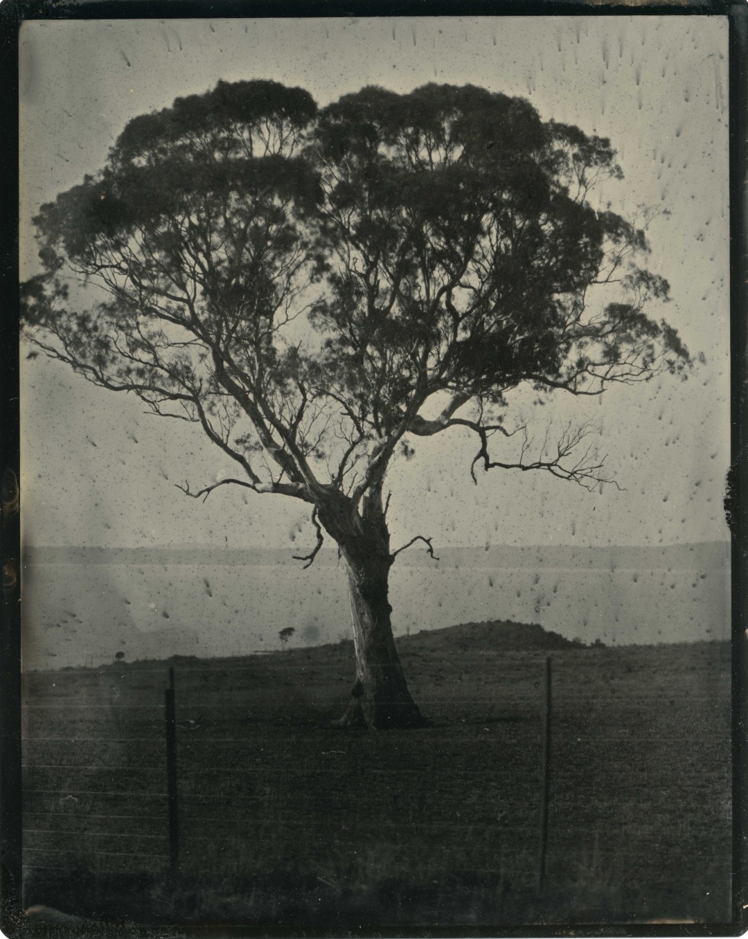 Brenda L Croft | Goulburn Regional Art Gallery